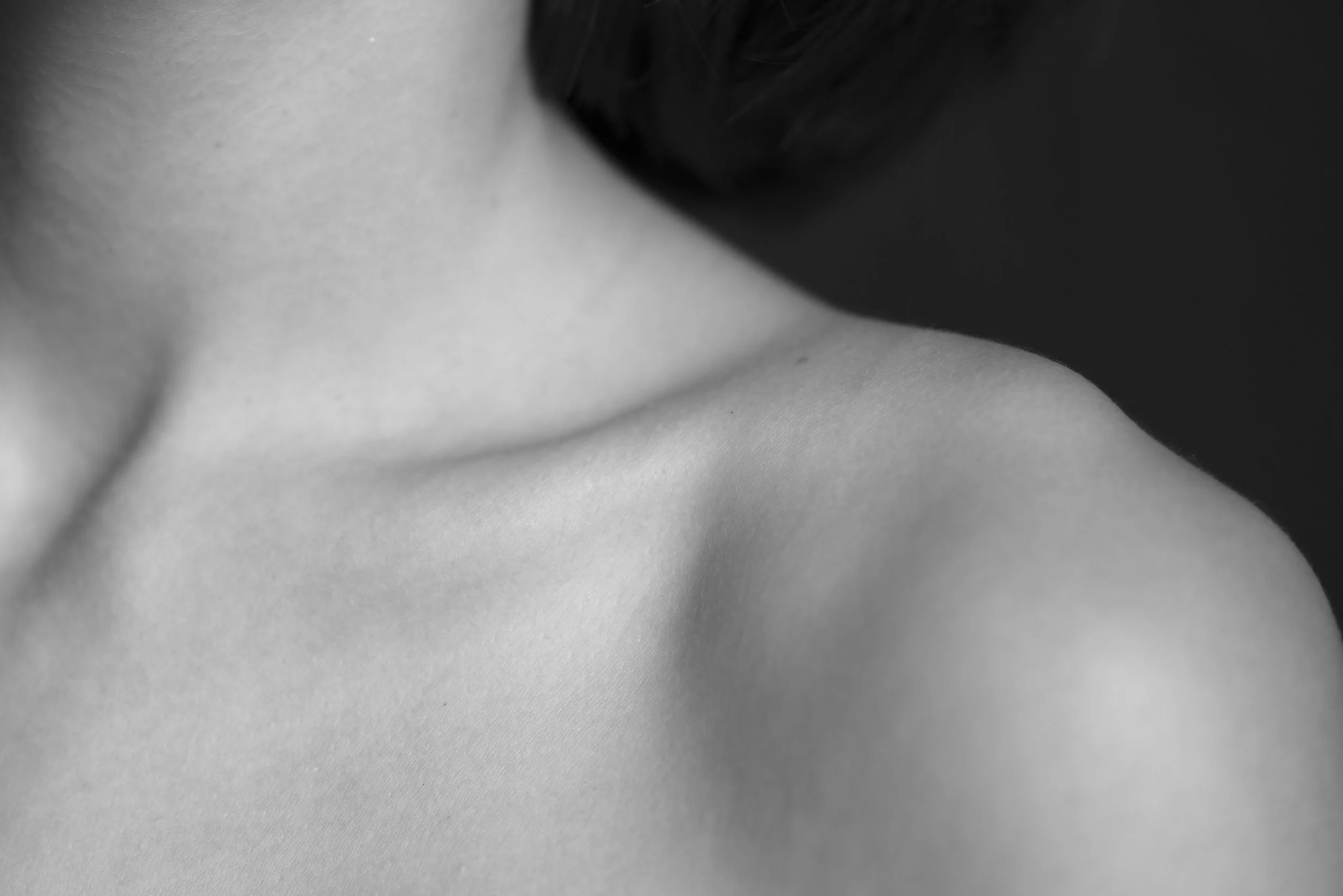 Elfa - The Details — TEYMTHEBEAST_002