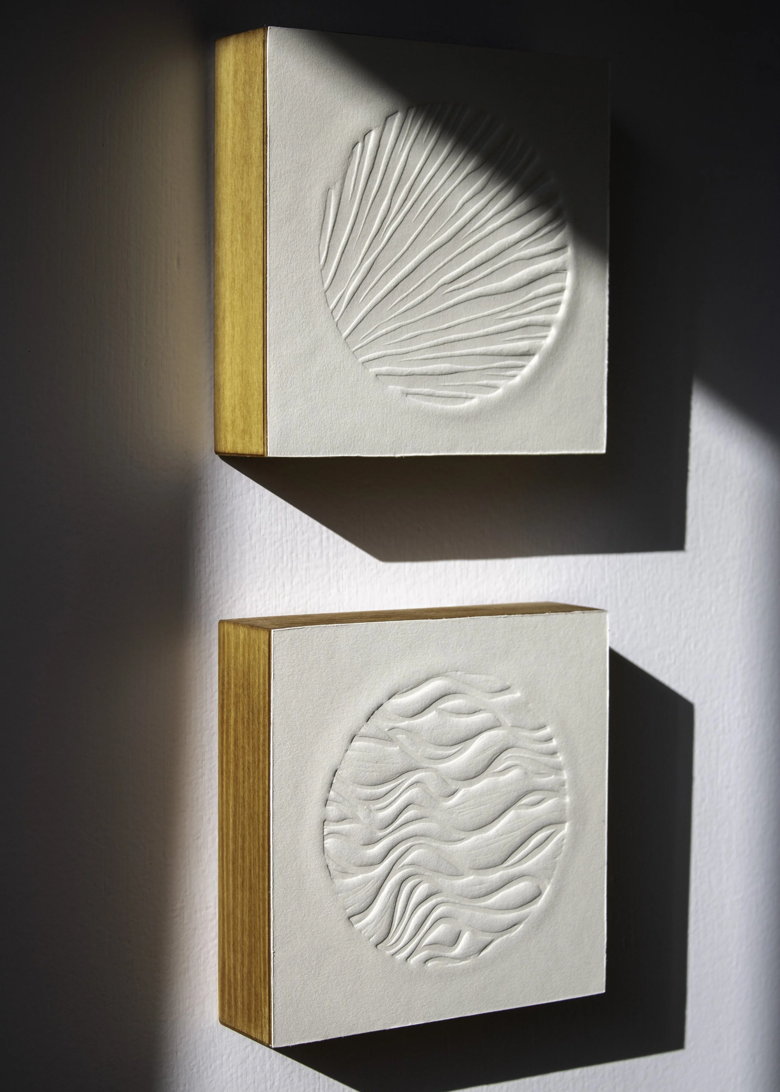 Macro Mycelium — Kate Michelle Design