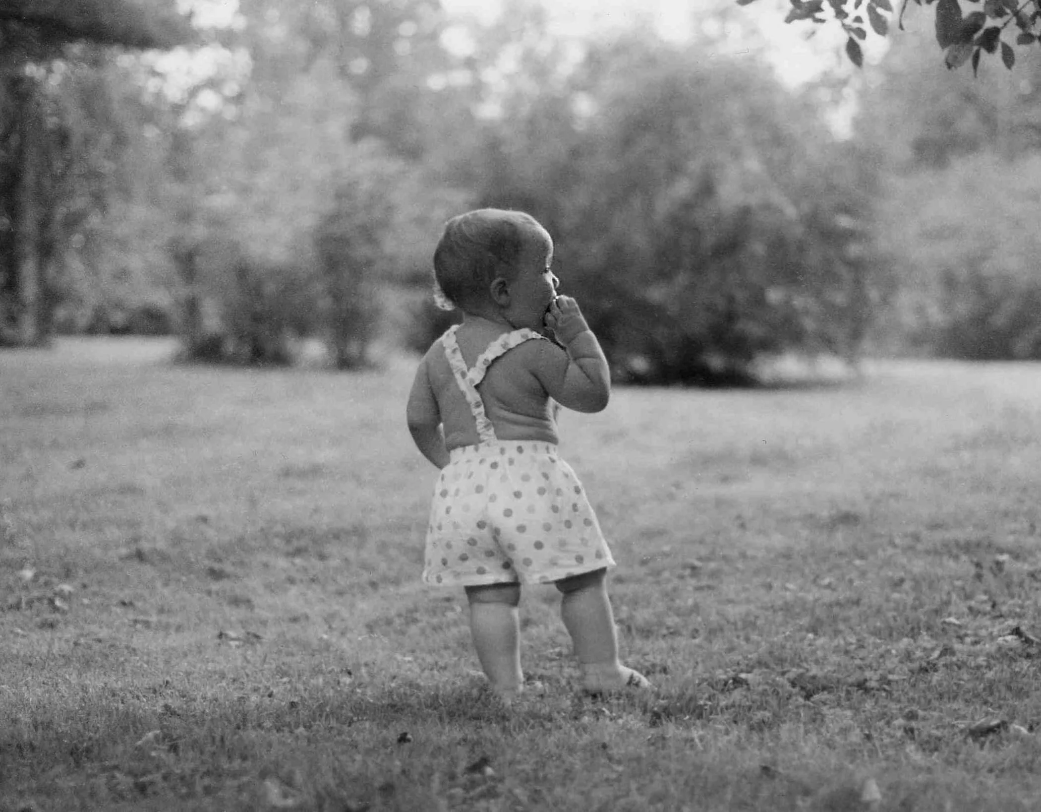 Families — Juliet Lofaro Portrait Photographer