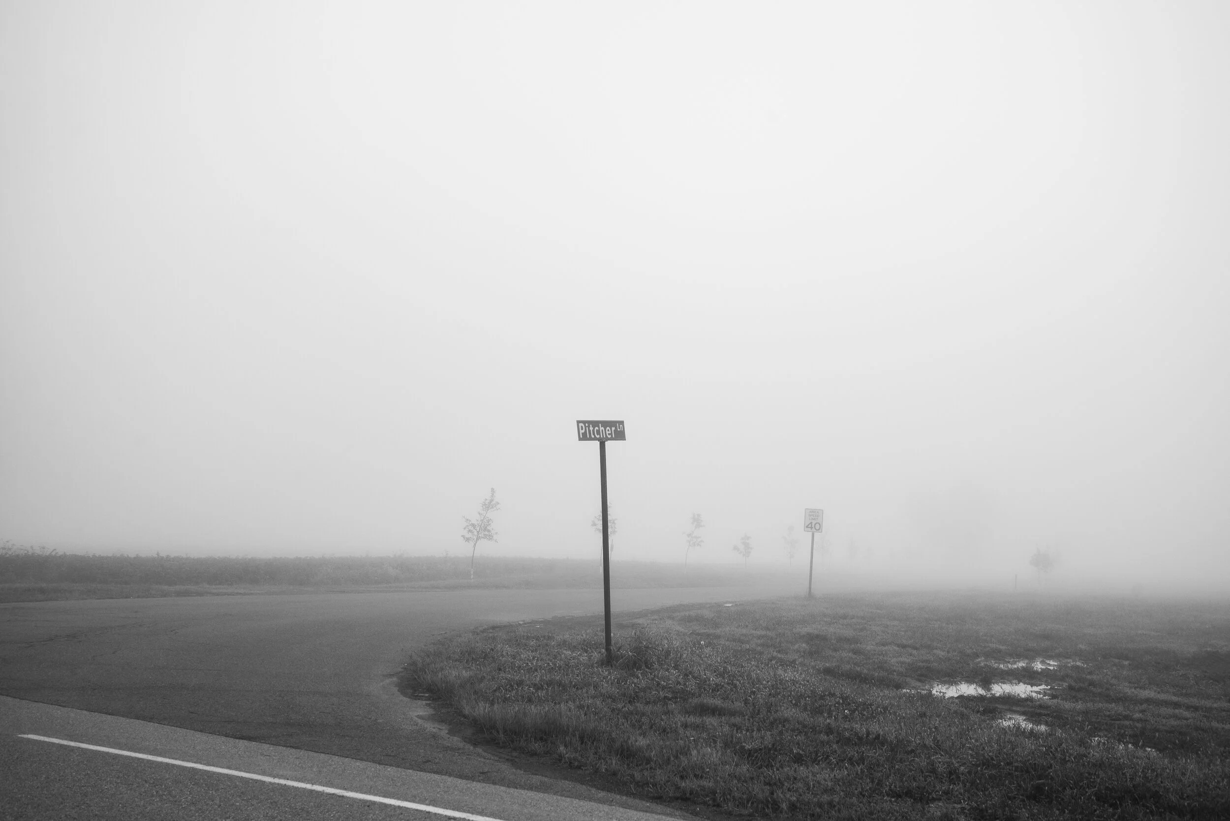 Fog — Juliet Lofaro Portrait Photographer