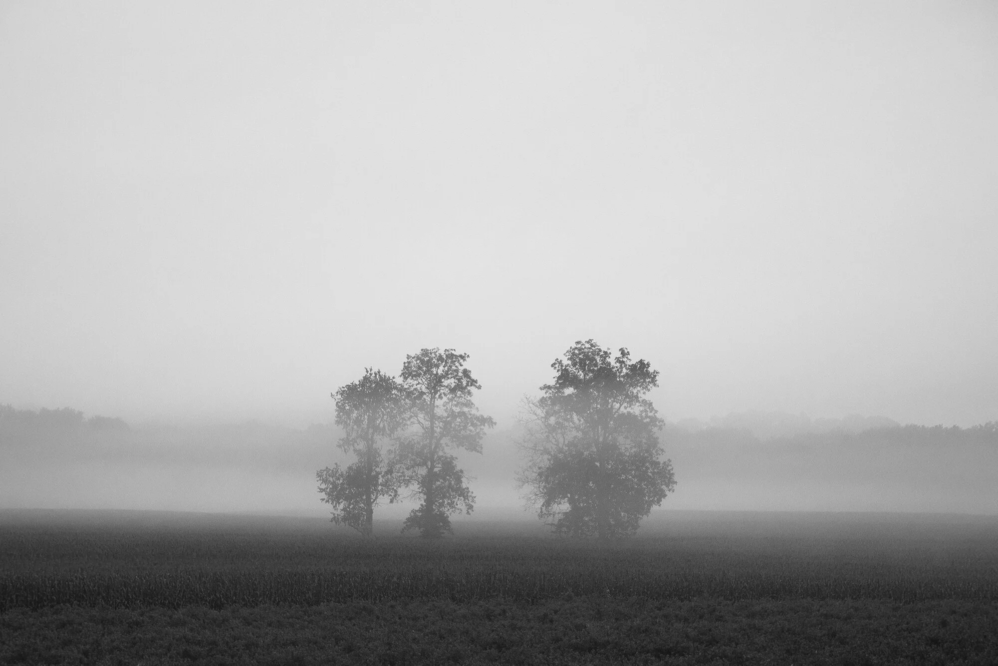 Fog — Juliet Lofaro Photographs Portraits, Headshots & Legacy Sessions in the Hudson Valley