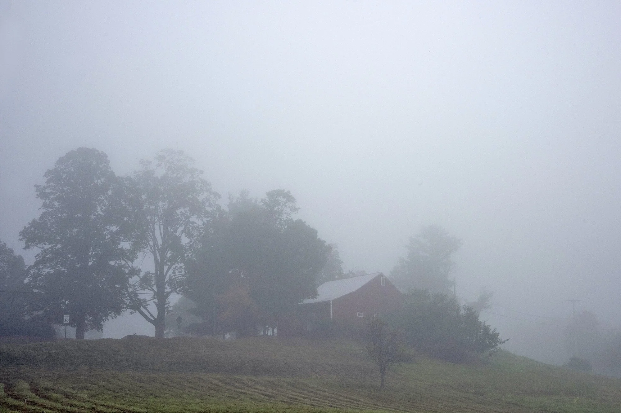 Fog — Photography Sessions Tailored Exclusively for You by Juliet Lofaro