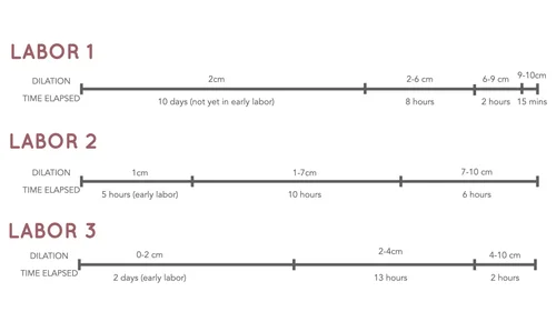 Dilation, and why it actually means very little — BirthFlower Birth ...