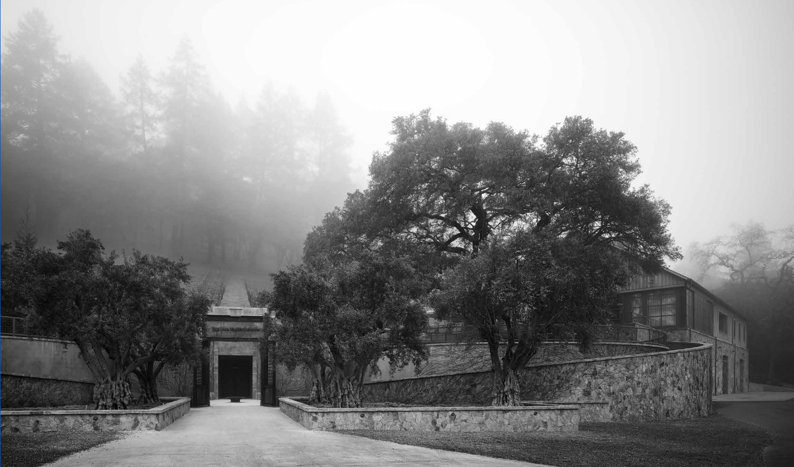 Gallery 3 — Backen & Backen Architecture