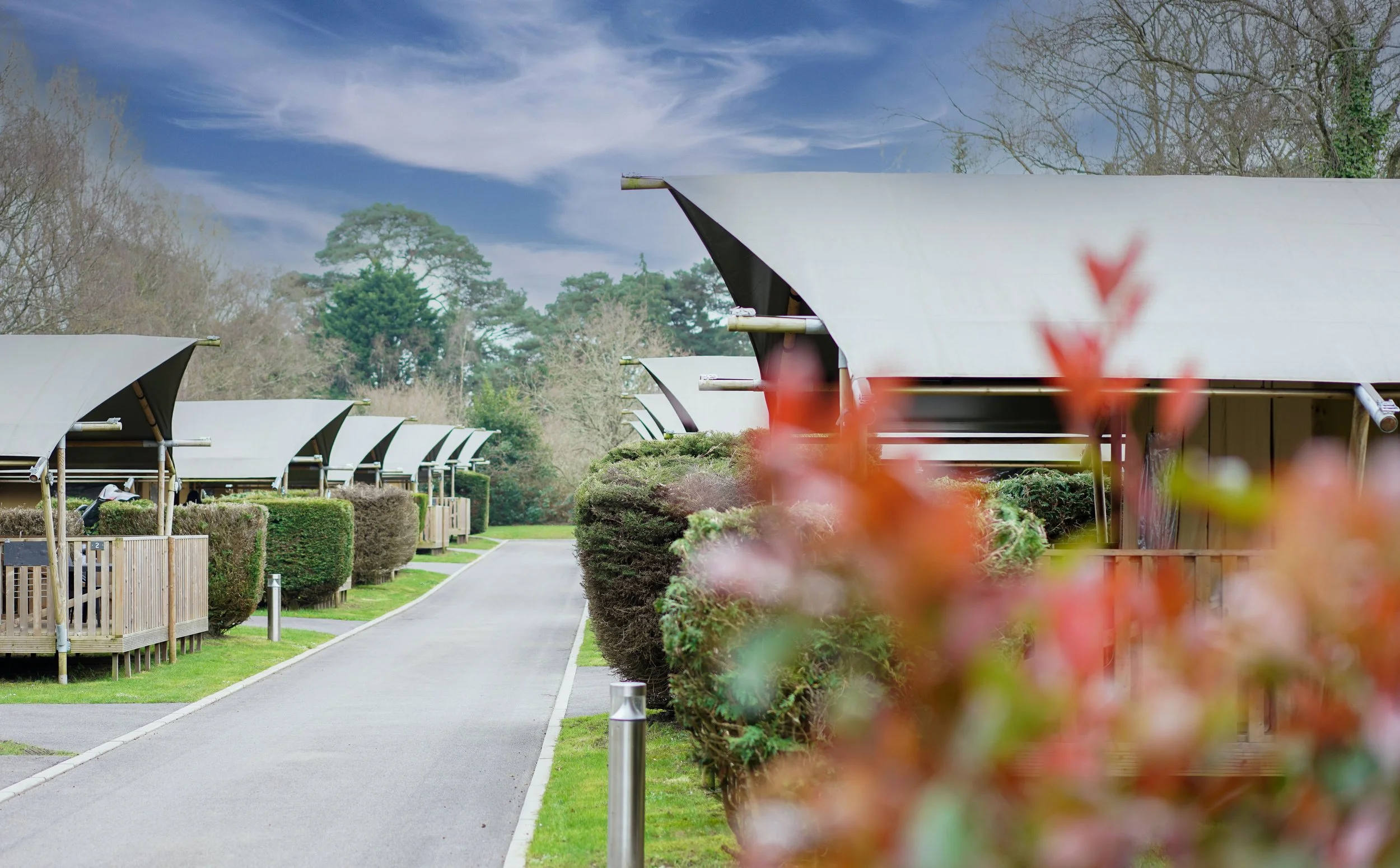 Clear Sky Cares is a unique learning & sharing space for our customers ...