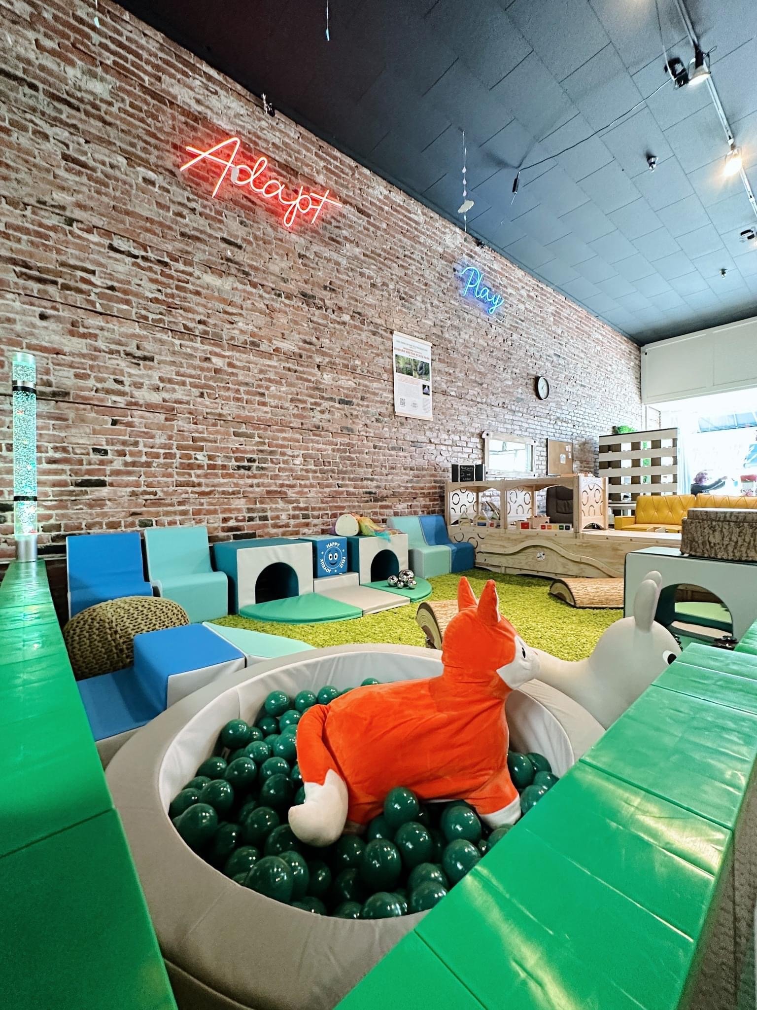 MendoLEAP | Learn, Explore, Adapt, Play in Ukiah, CA