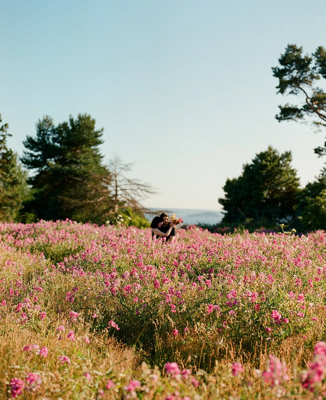 Creative Conversations: Rebecca Armstrong of Phosphorus Botanical in ...