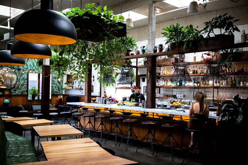 Creative Conversations: Sam Levy of Fern Bar in Sebastopol, California ...