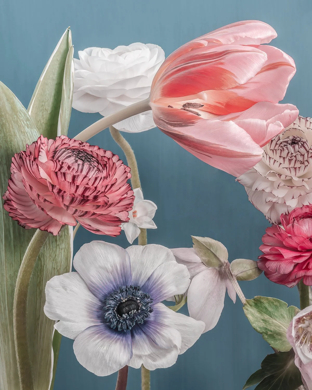 Creative Conversations: Katrin Engler, a Photographer in Leipzig ...