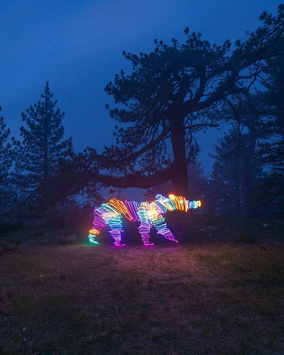 DARIUSTWIN - Light Painting Photography
