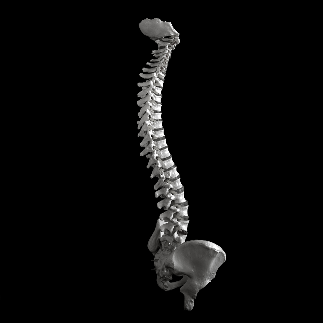 ABOUT THE METHOD — Coeur MVMT