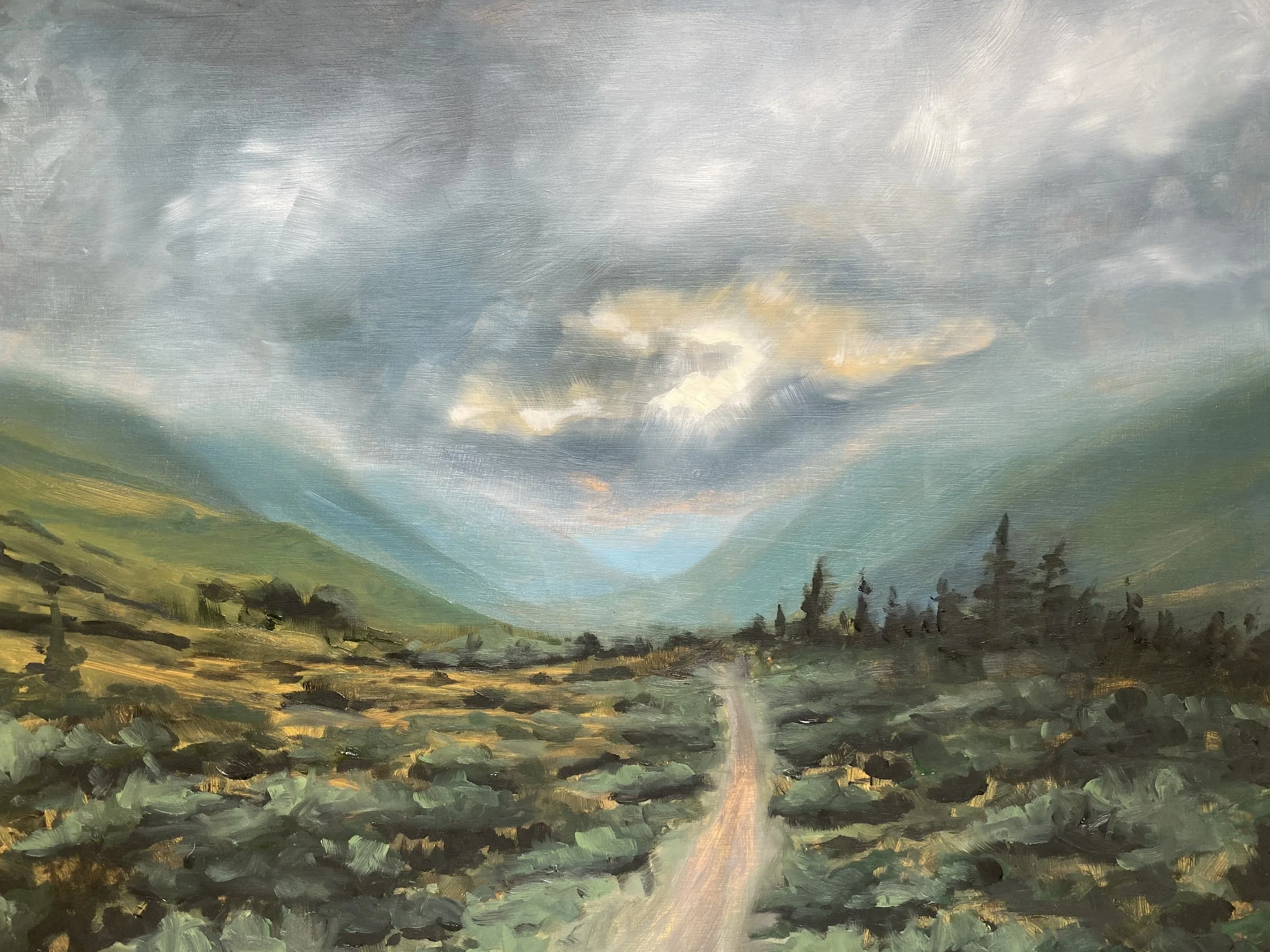 Past Commissions — Darby Shea Art