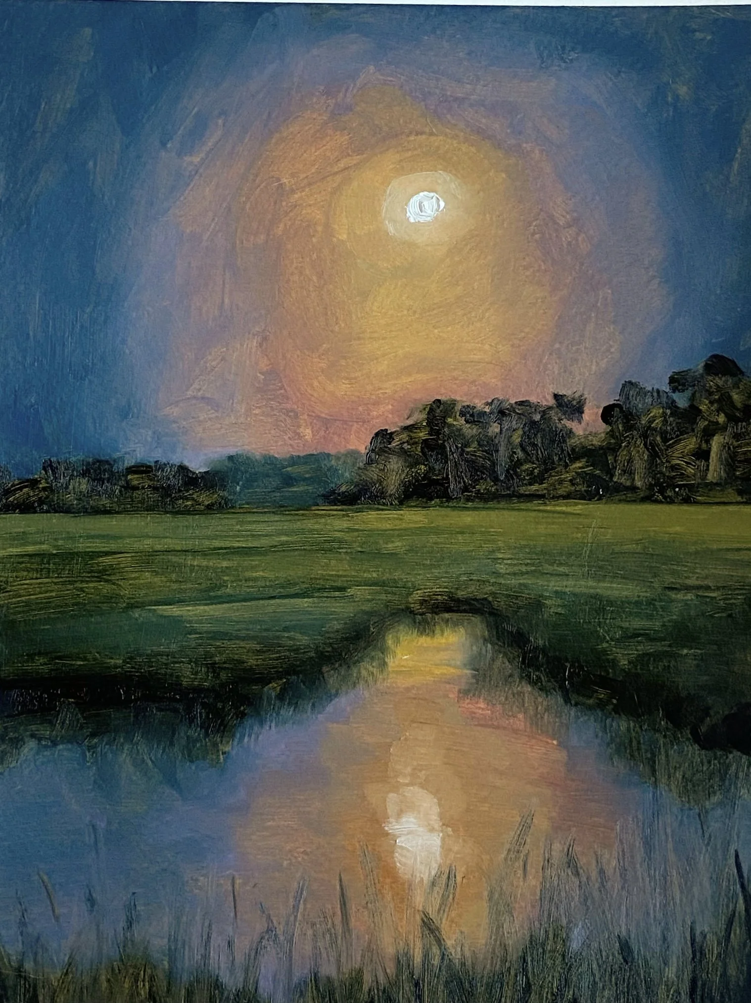 Past Commissions — Darby Shea Art