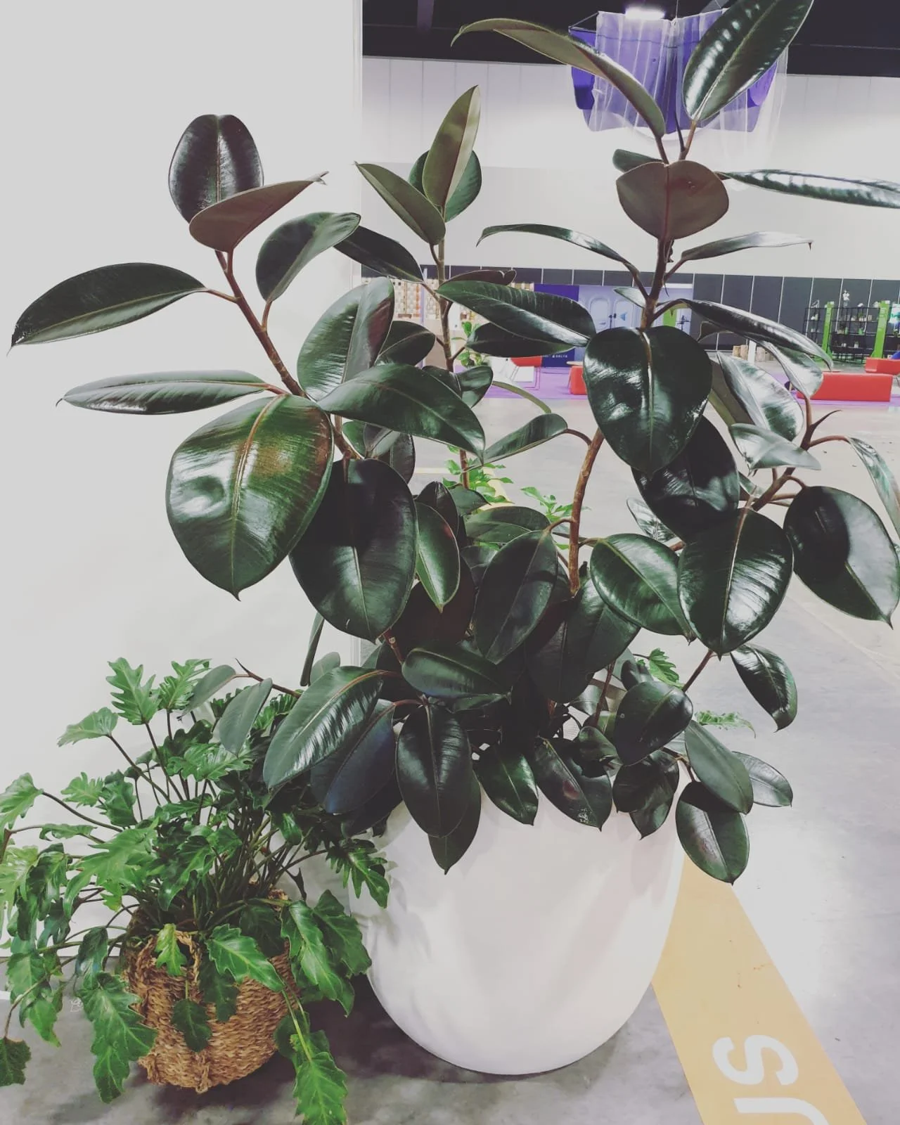 Gallery — Pop-Up Gardens