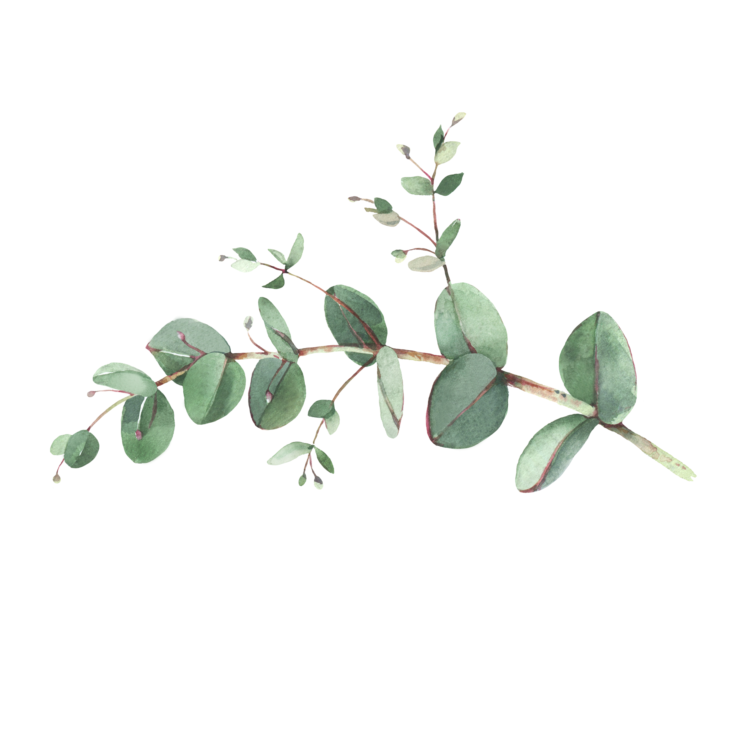 Fabella Skin Therapy 90-Minute Facial Treatments - What to Expect ...