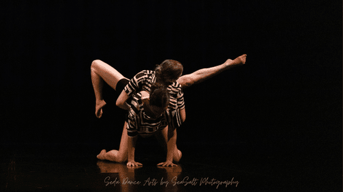 Adult Contemporary Dance Classes — Seda Dance