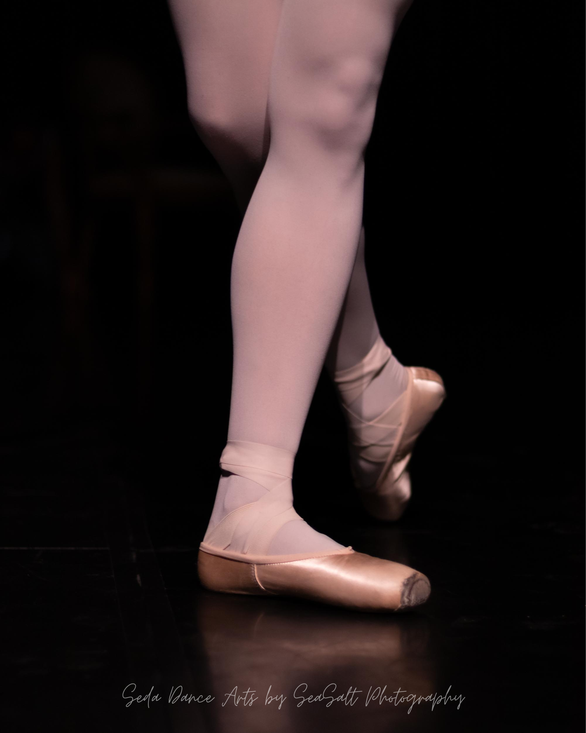 Sessional Classes — Seda Dance