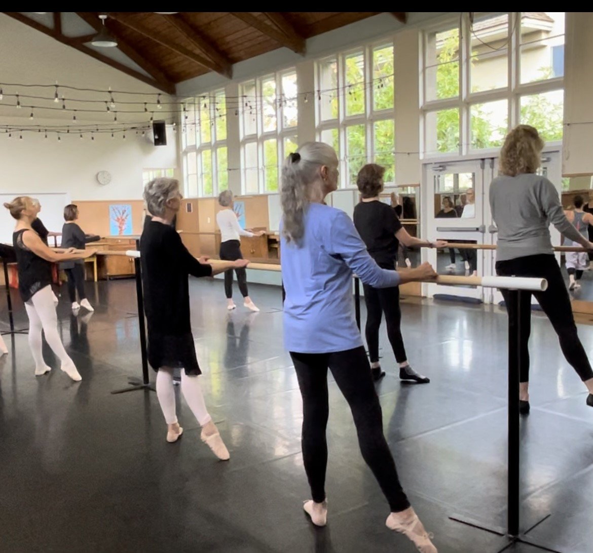 Sessional Classes — Seda Dance