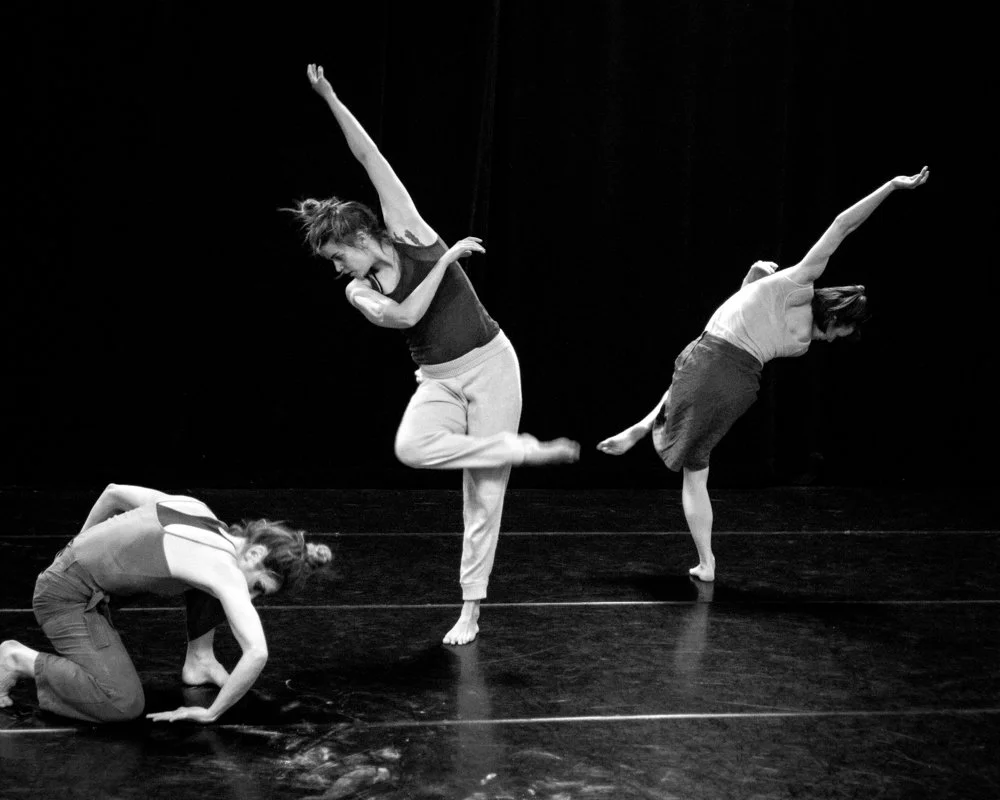 Adult Dance Registration — Seda Dance