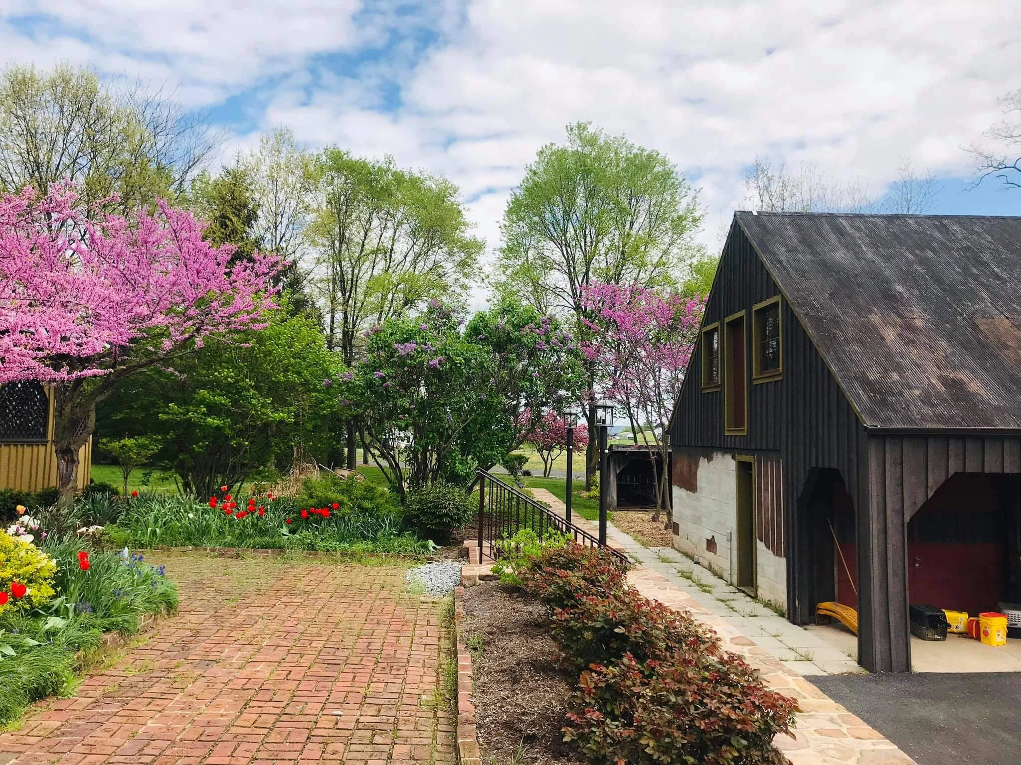 Stone of Scone Farm: A Hidden Gem in the Heart of the Countryside