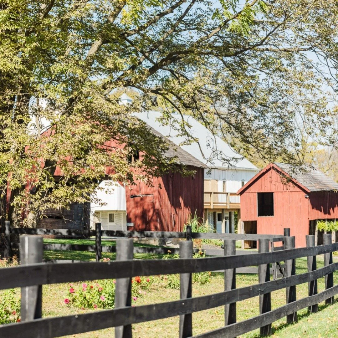 Rock Spring Farm Wedding for Michelle and Zack