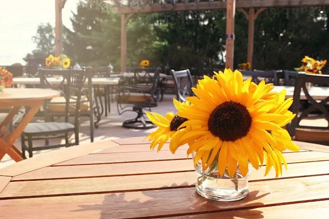 Adams County Winery: A Hidden Gem in Pennsylvania