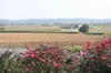 The View on Harvest Drive | Gordonville PA Wedding Venue