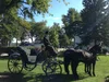 White Chimneys Estate | Historic Wedding Venue in Gap, PA