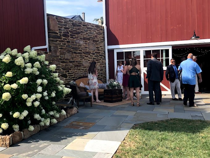 Pine Ridge Farm: A Hidden Gem in the Heart of the Countryside