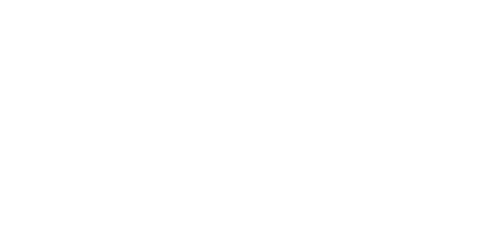 VOL. 11 | DECEMBER 2020 — Towards Leadership