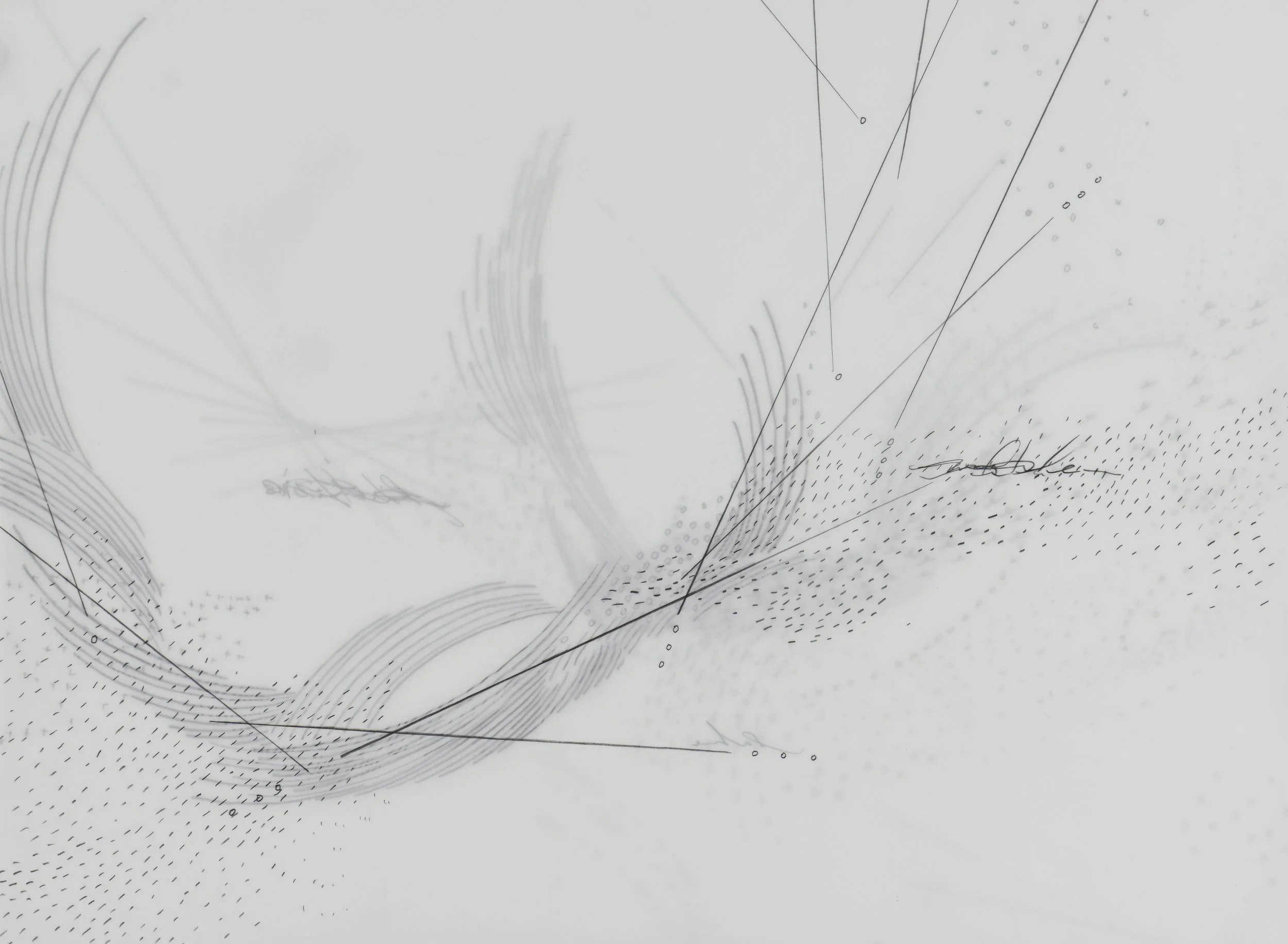 Laura Cleary Williams