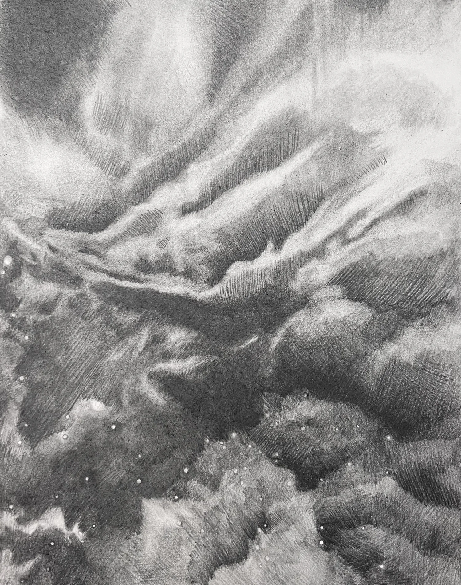 Laura Cleary Williams