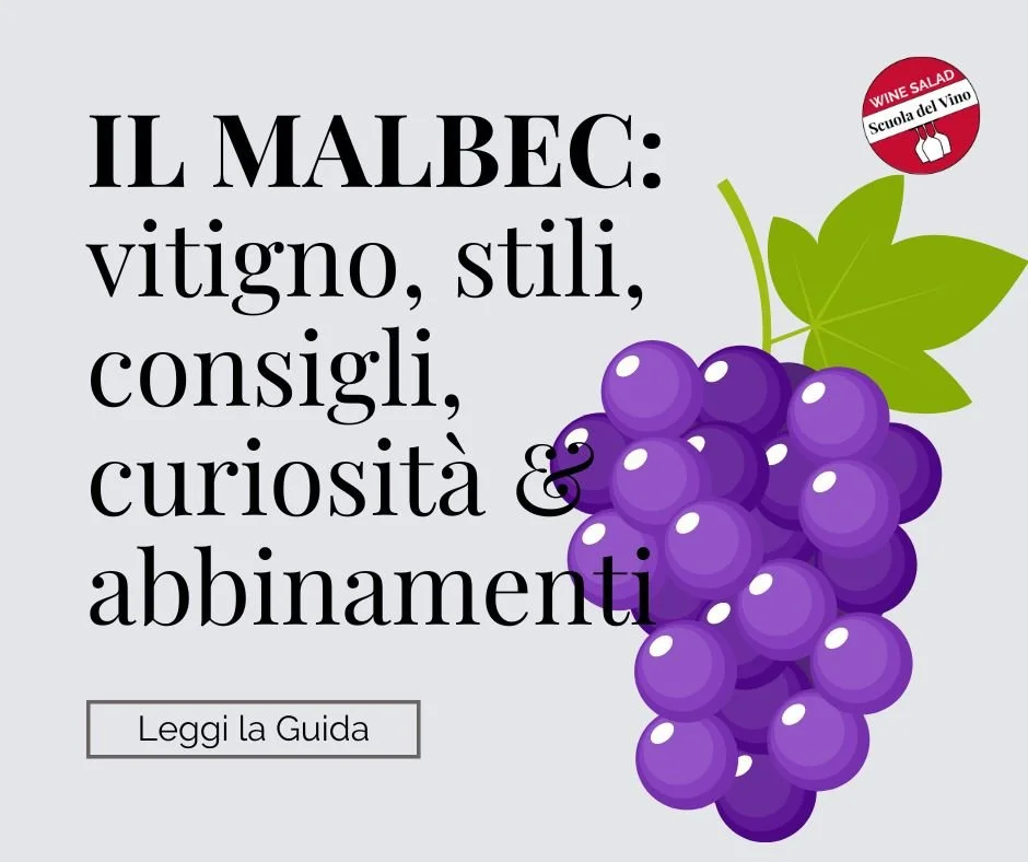 Malbec: Il Vitigno del Nuovo Mondo con radici Francesi e le sue ...