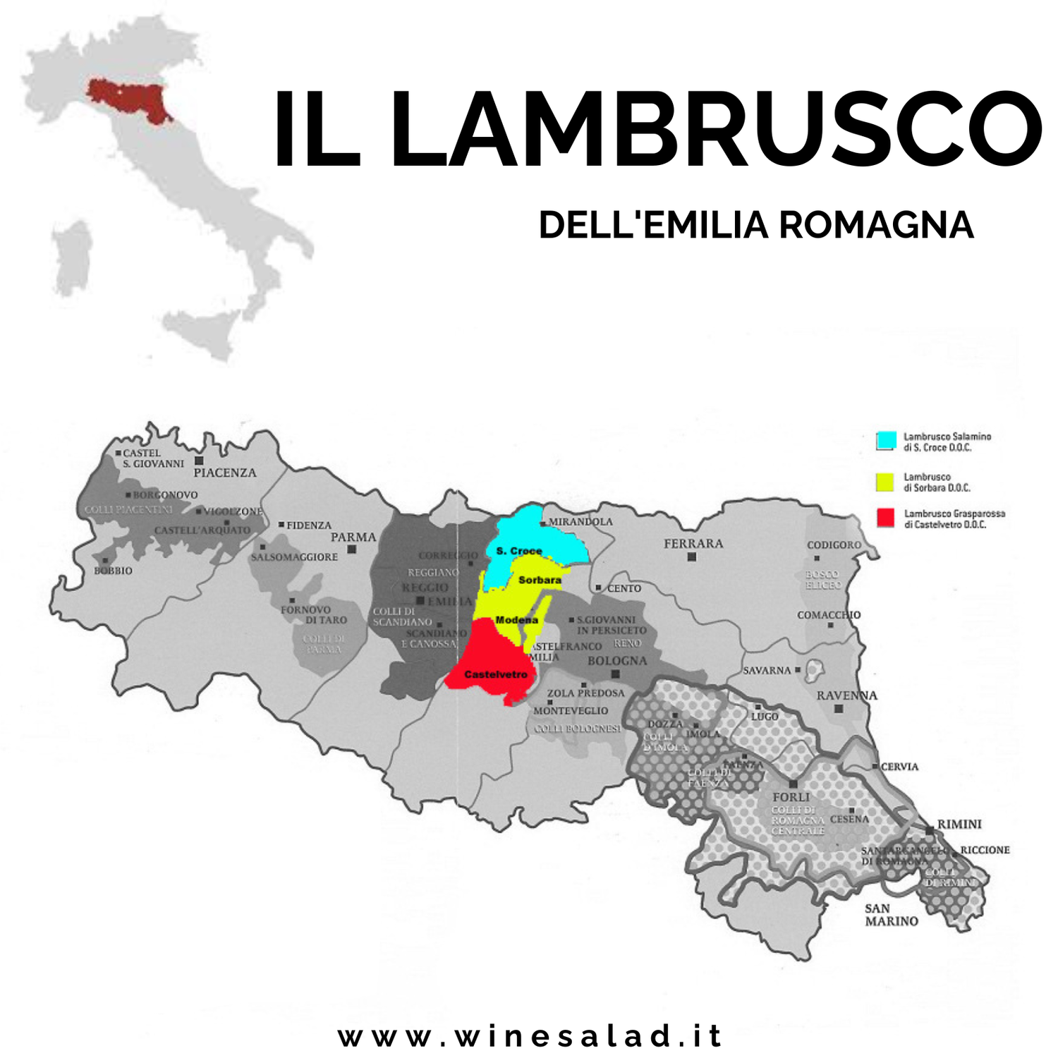 Lambrusco: Il Vino Frizzante dell'Emilia-Romagna — Wine Salad