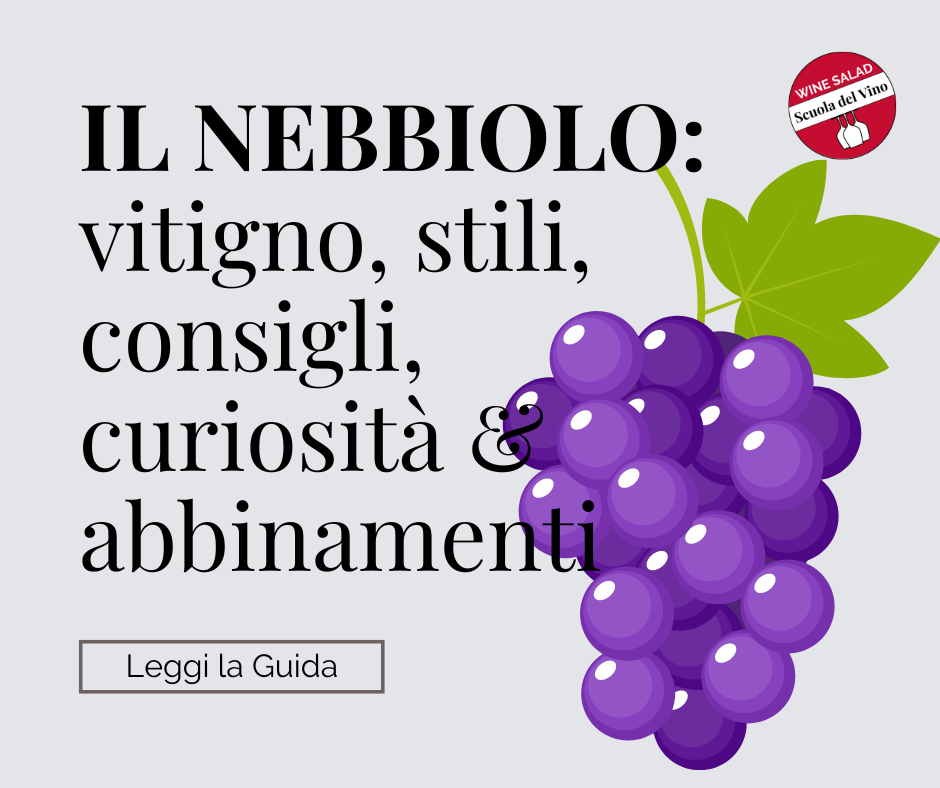 Esplorando il Nebbiolo: Origini, Profumi, Profili di Gusto e Vini da ...