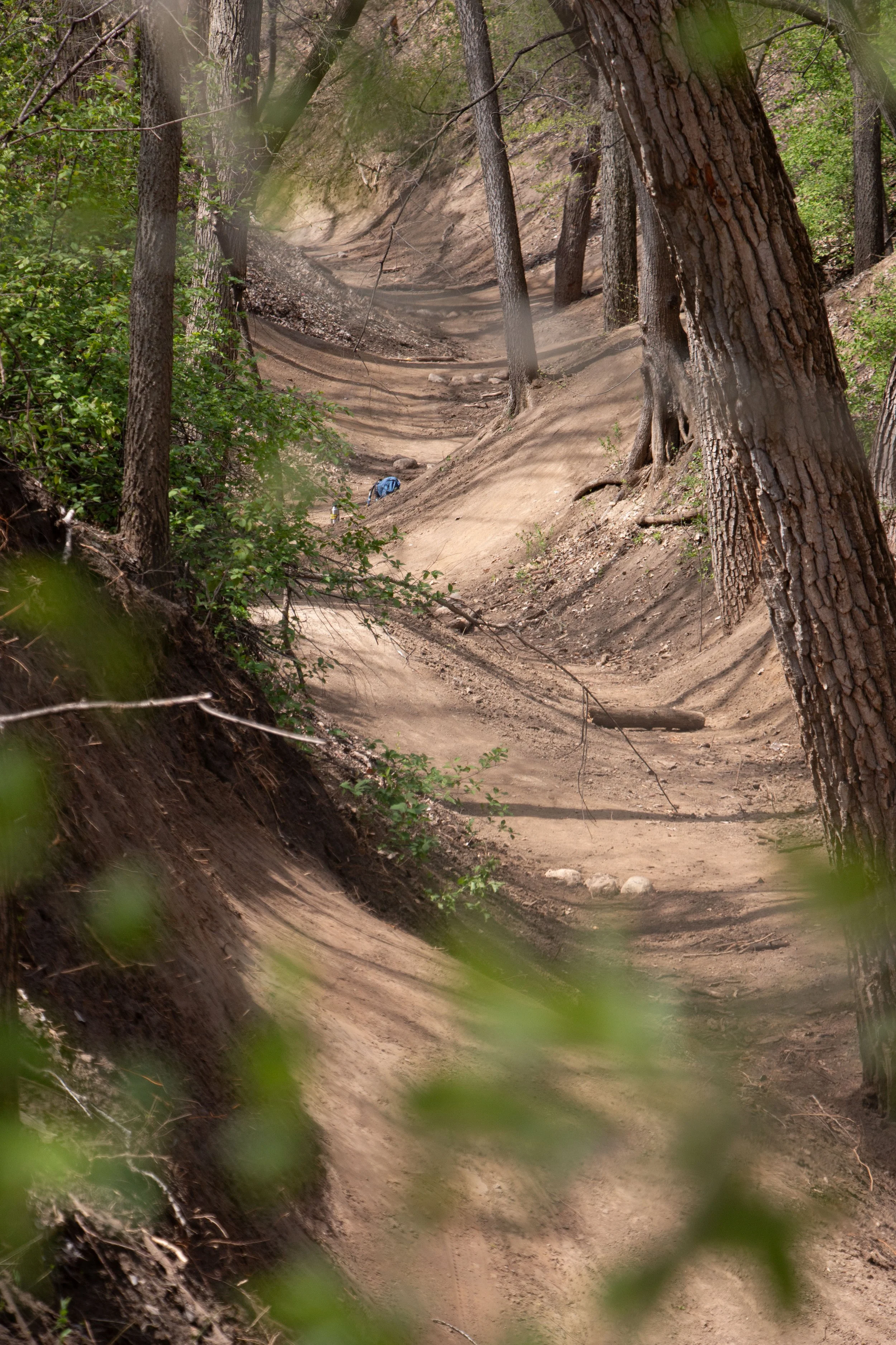 Cone Park — Trails Have Our Respect