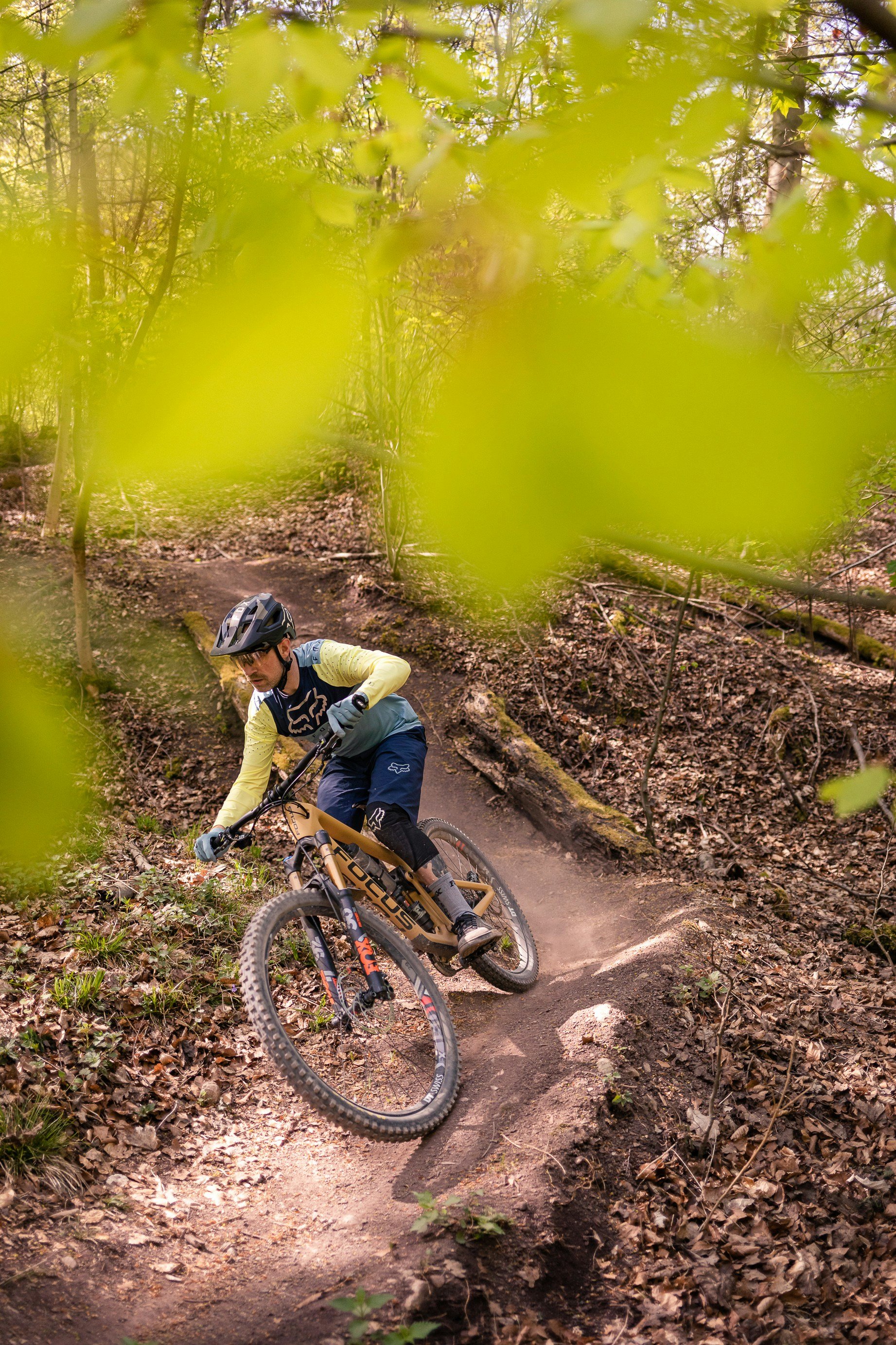 Cone Park — Trails Have Our Respect