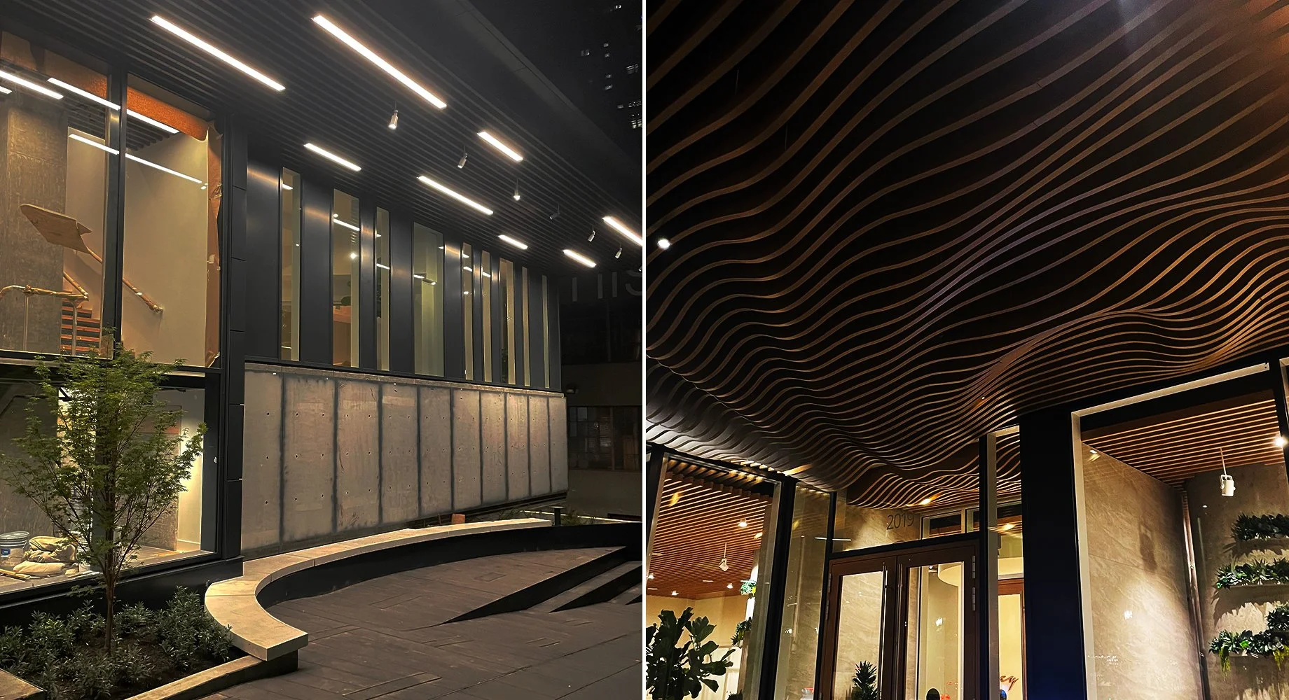 The Ivey — ArchEcology