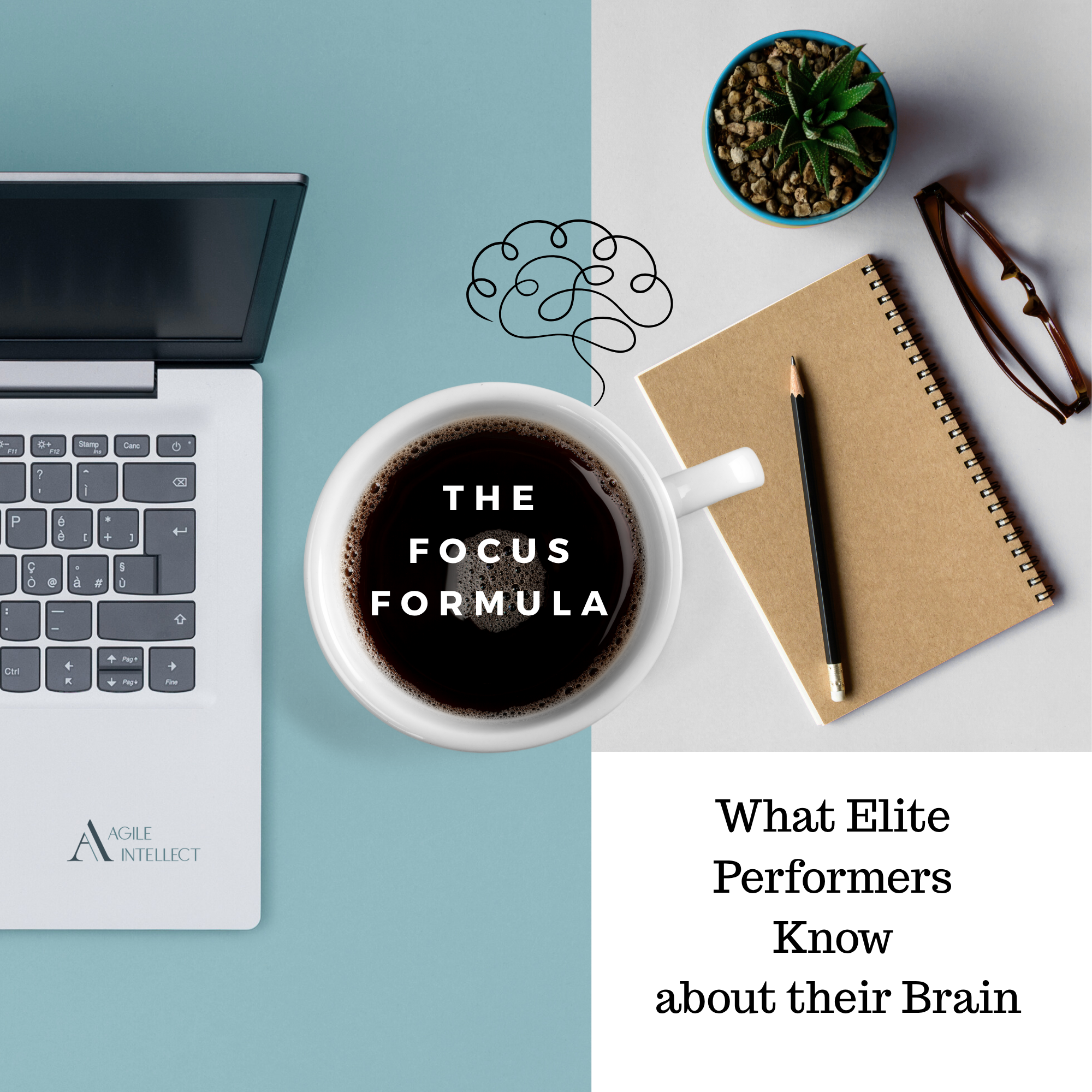 The Professional's Focus Toolkit: Neuroscience-Backed Strategies at ...