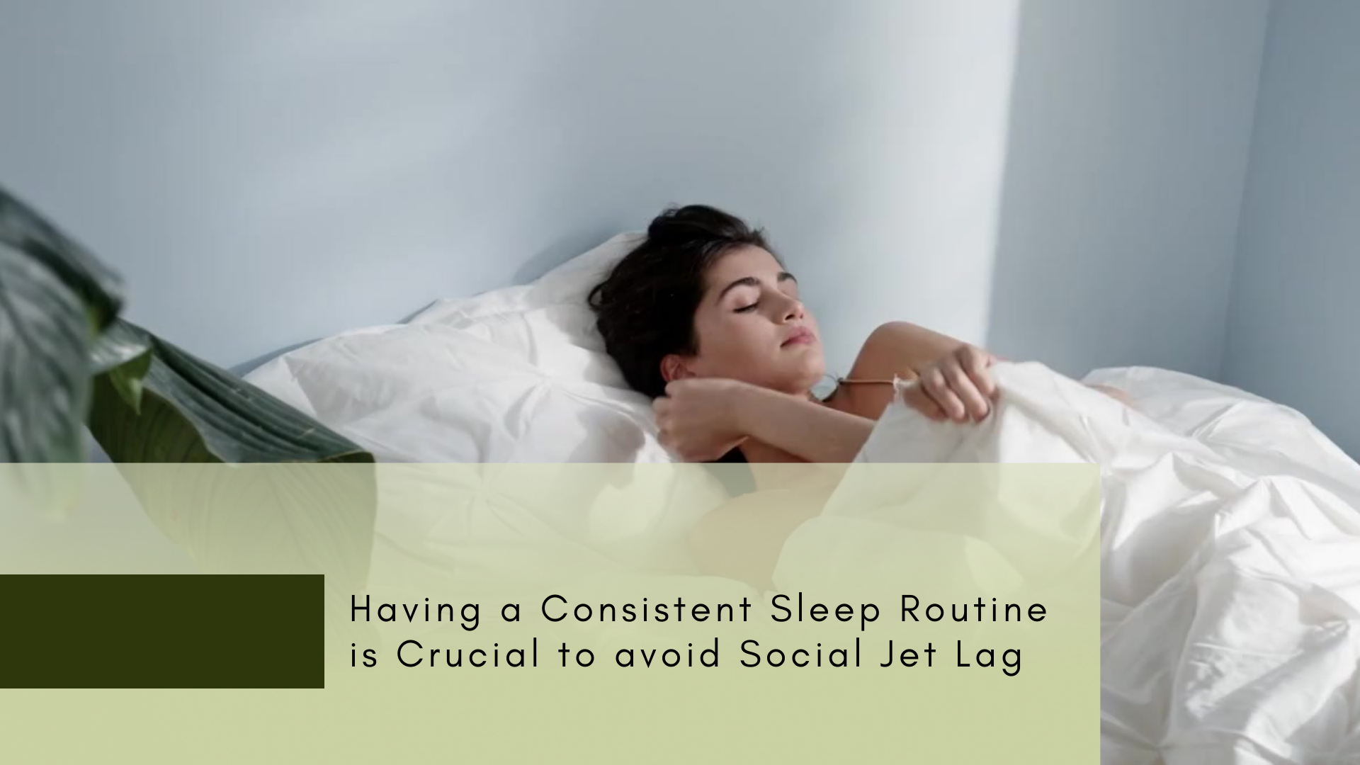 Sleep and Social Jet Lag — Agile Intellect