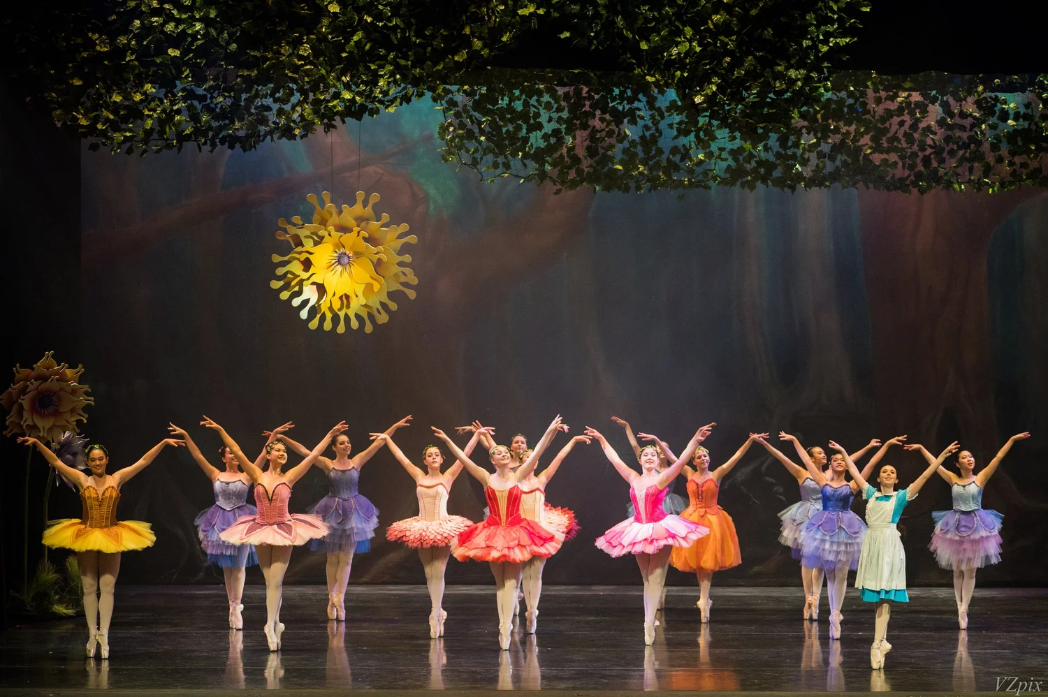 Southern California Ballet: San Diego’s Premier Ballet Company
