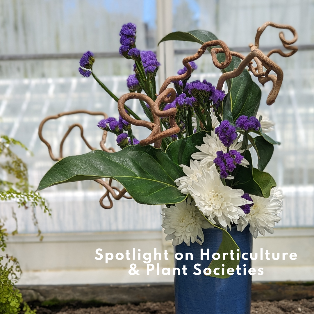 Horticulture & Plant Societies: Sogetsu Ikebana Show — Volunteer Park ...