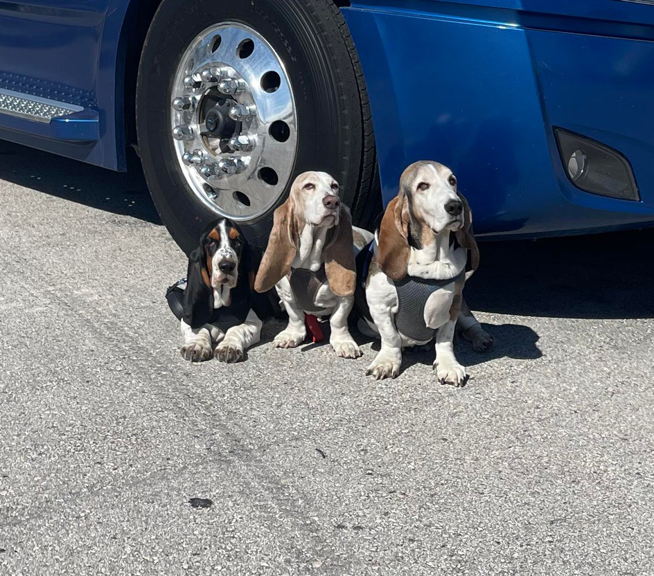 Our Story — The Truckin Bassets