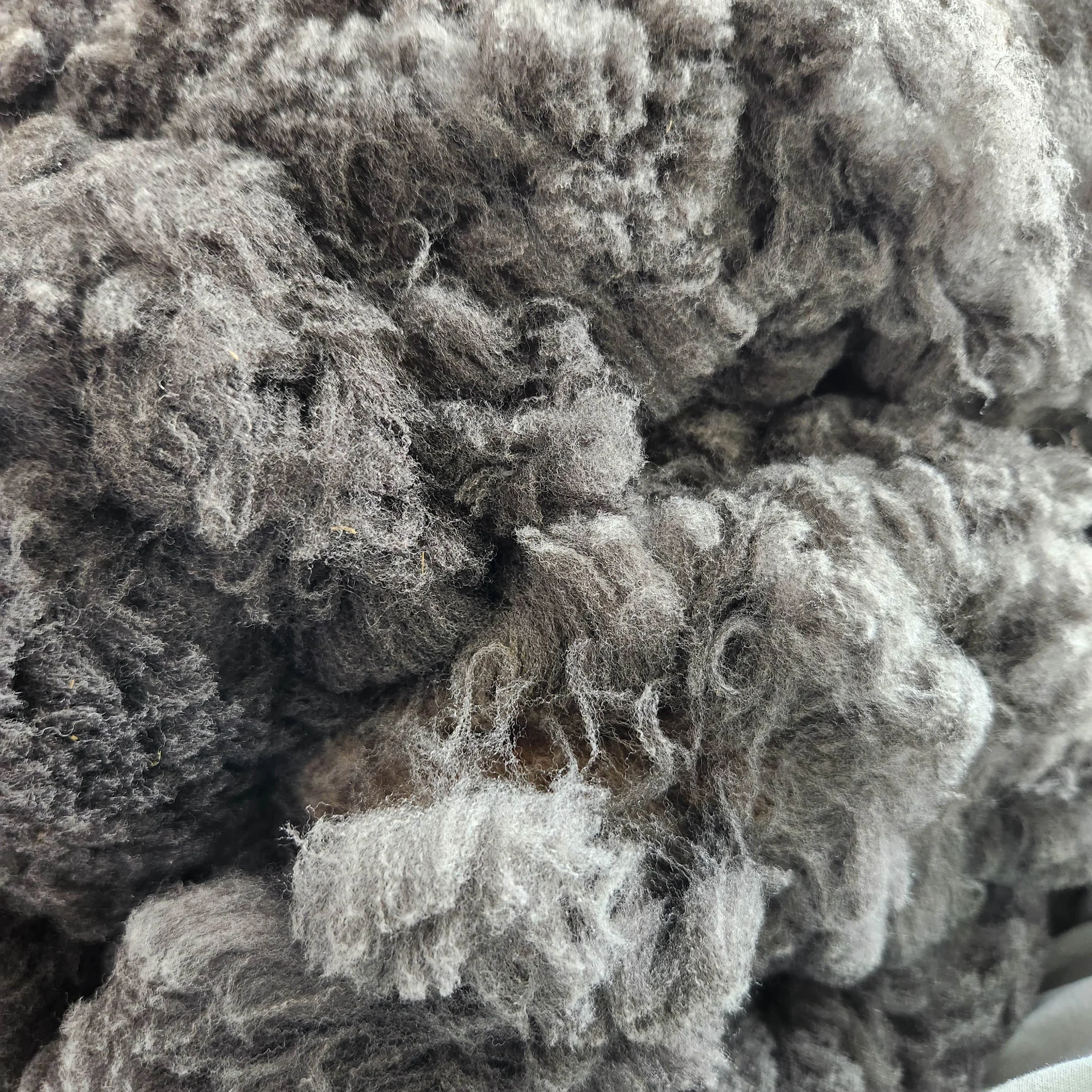 Shop Luxury Wool Fleece — English Blue Ribbon Farm