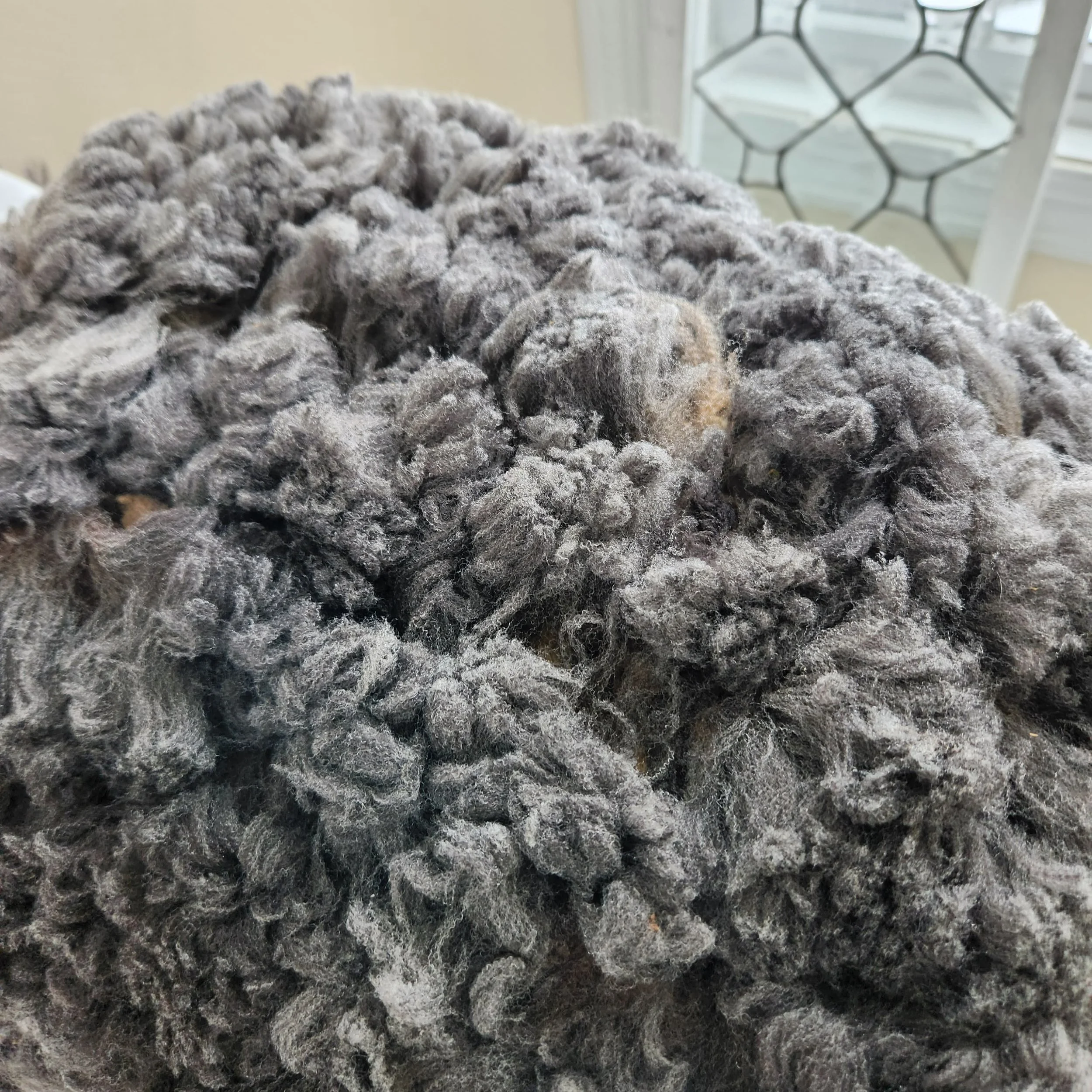 Shop Luxury Wool Fleece — English Blue Ribbon Farm