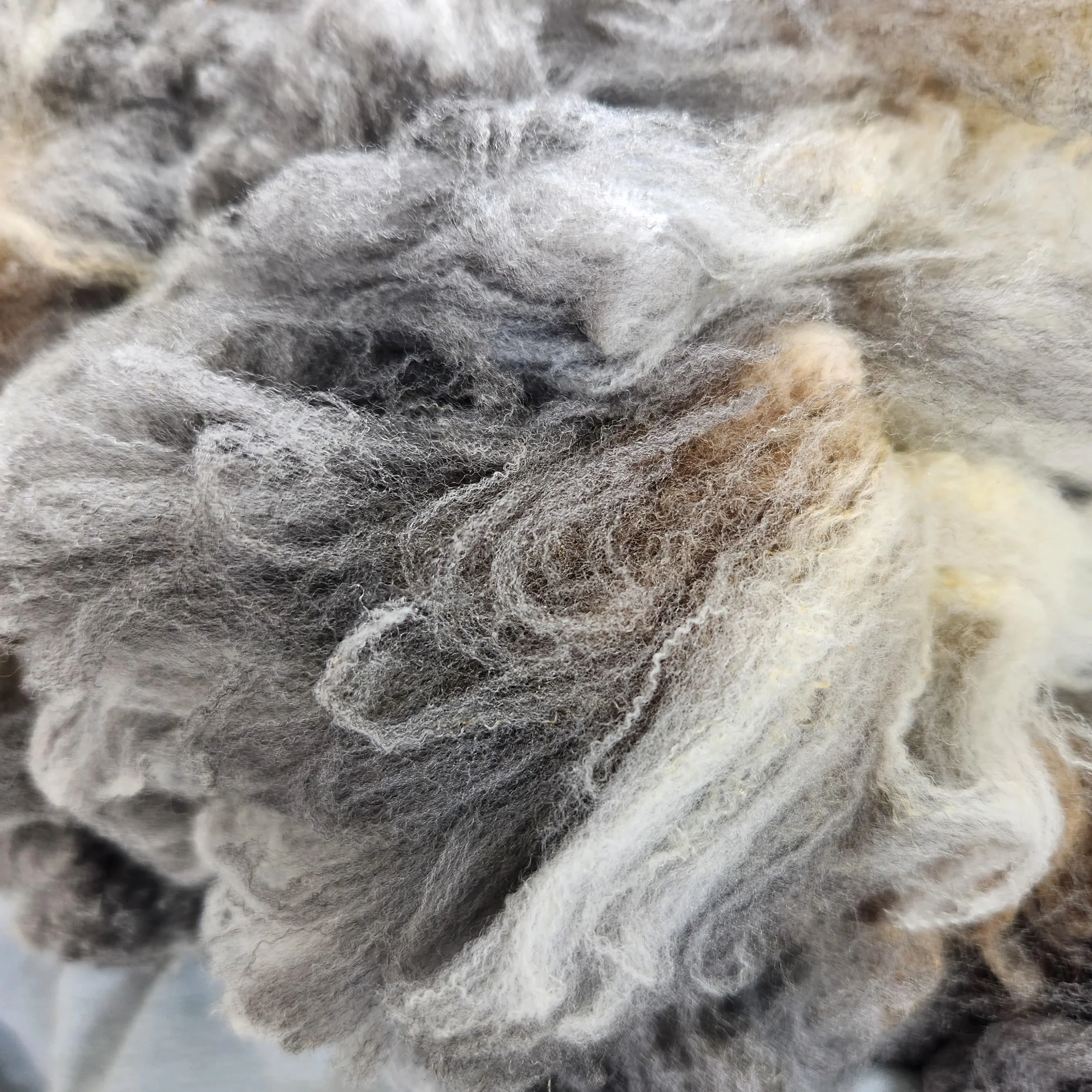 Shop Luxury Wool Fleece — English Blue Ribbon Farm