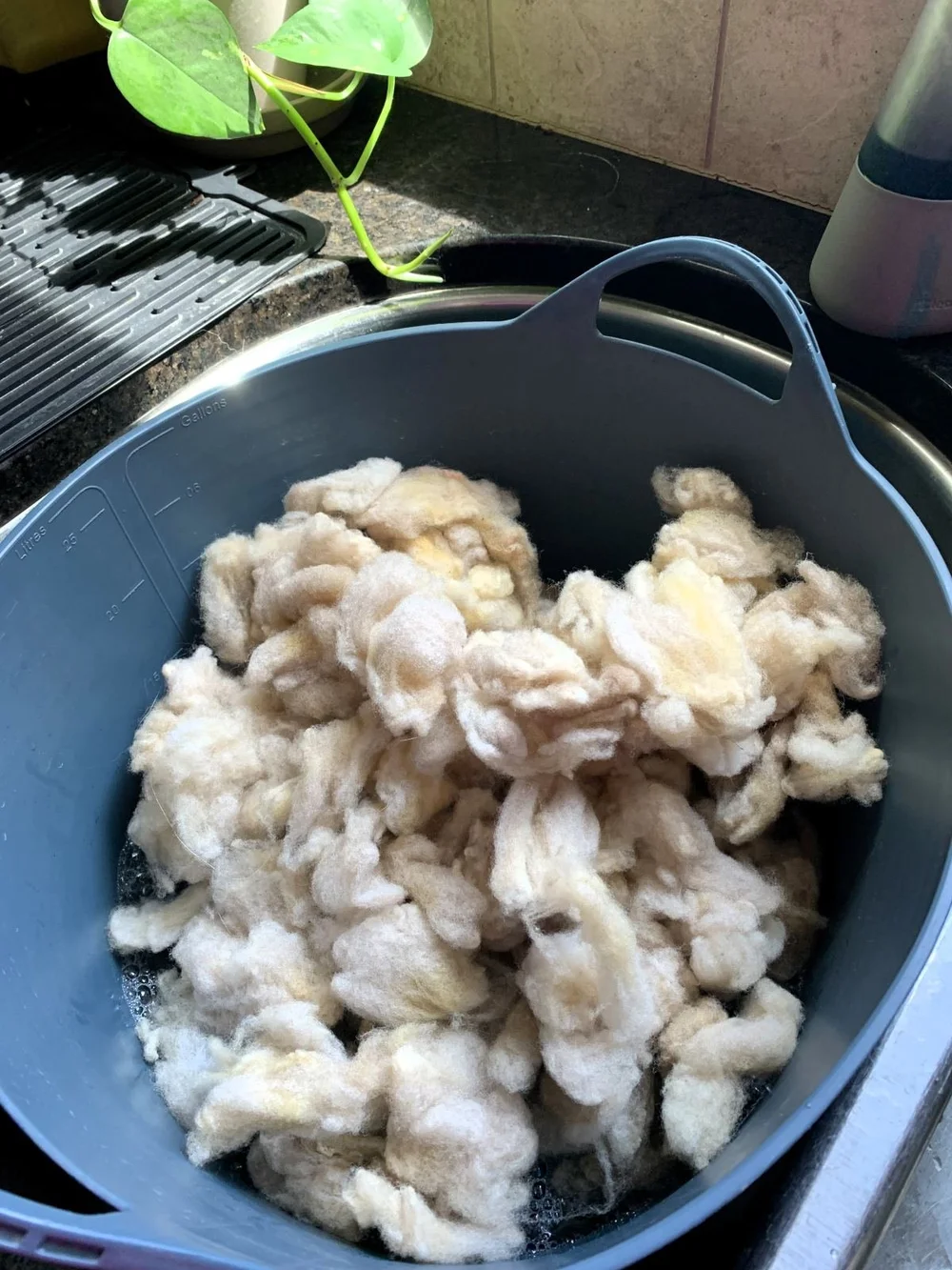 Rock the Locks – Fave Artisan Tips for Fleece Locks to Yarn — English ...