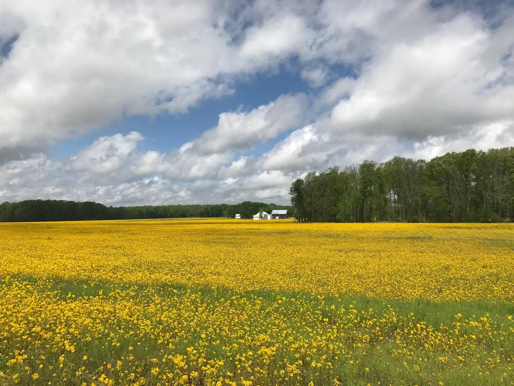 About — Frasier Solar