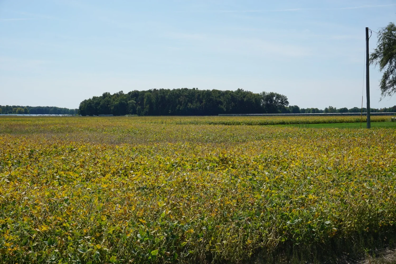 Overview Fact Sheets — Frasier Solar