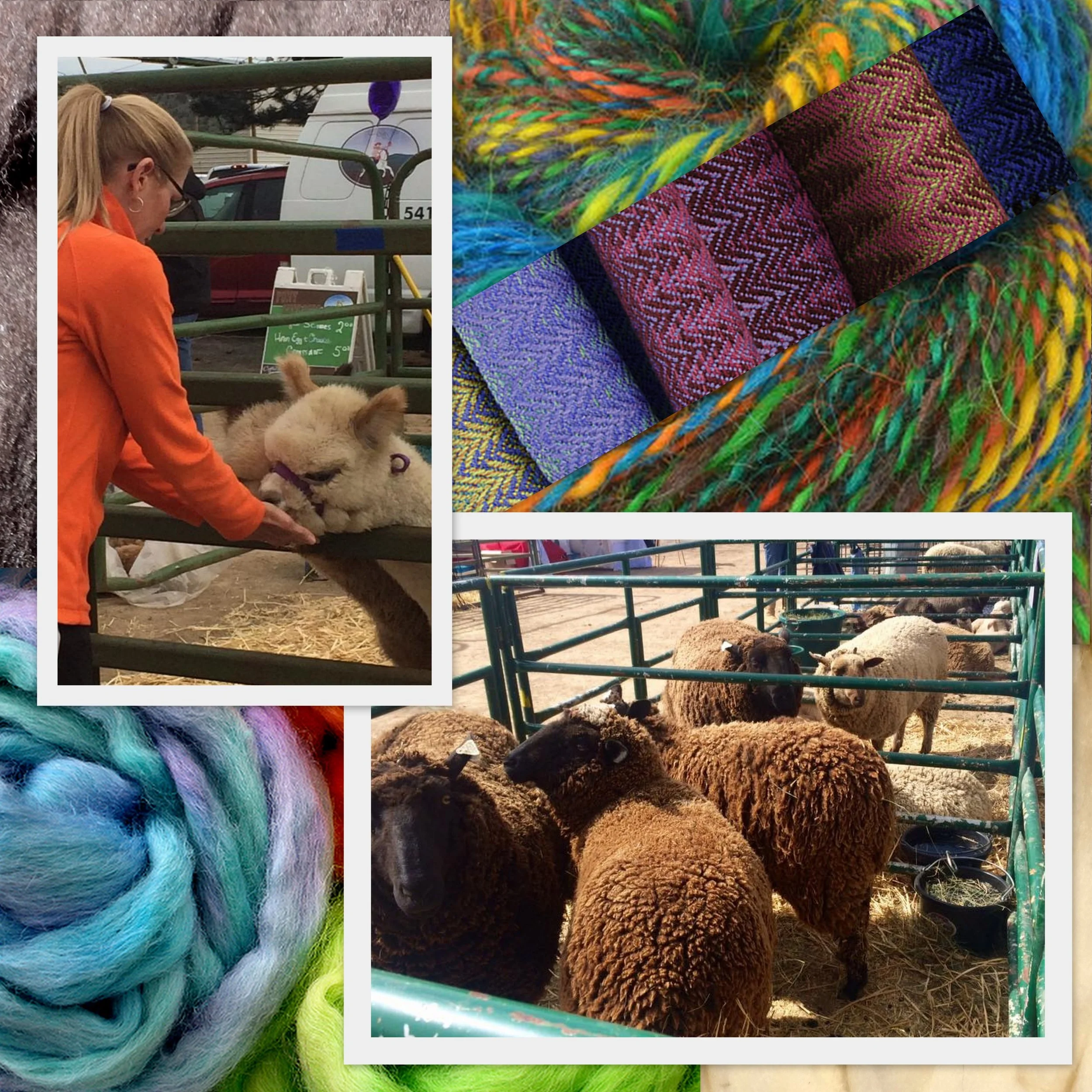 High Desert Wool Growers